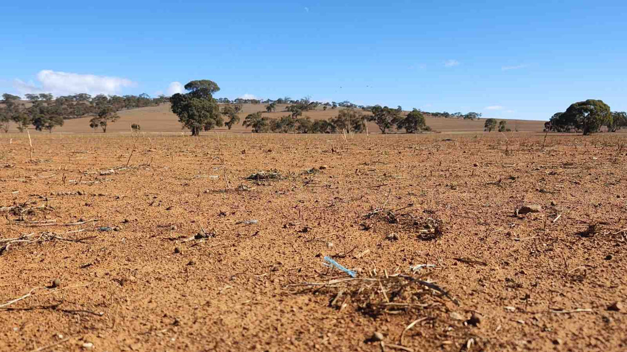 Latest round of NAB Foundation Community Grants now open