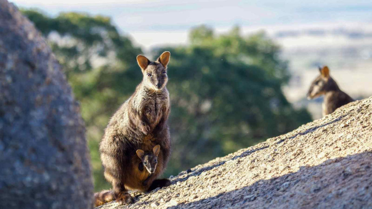 Latest round of NAB Foundation Community Grants now open